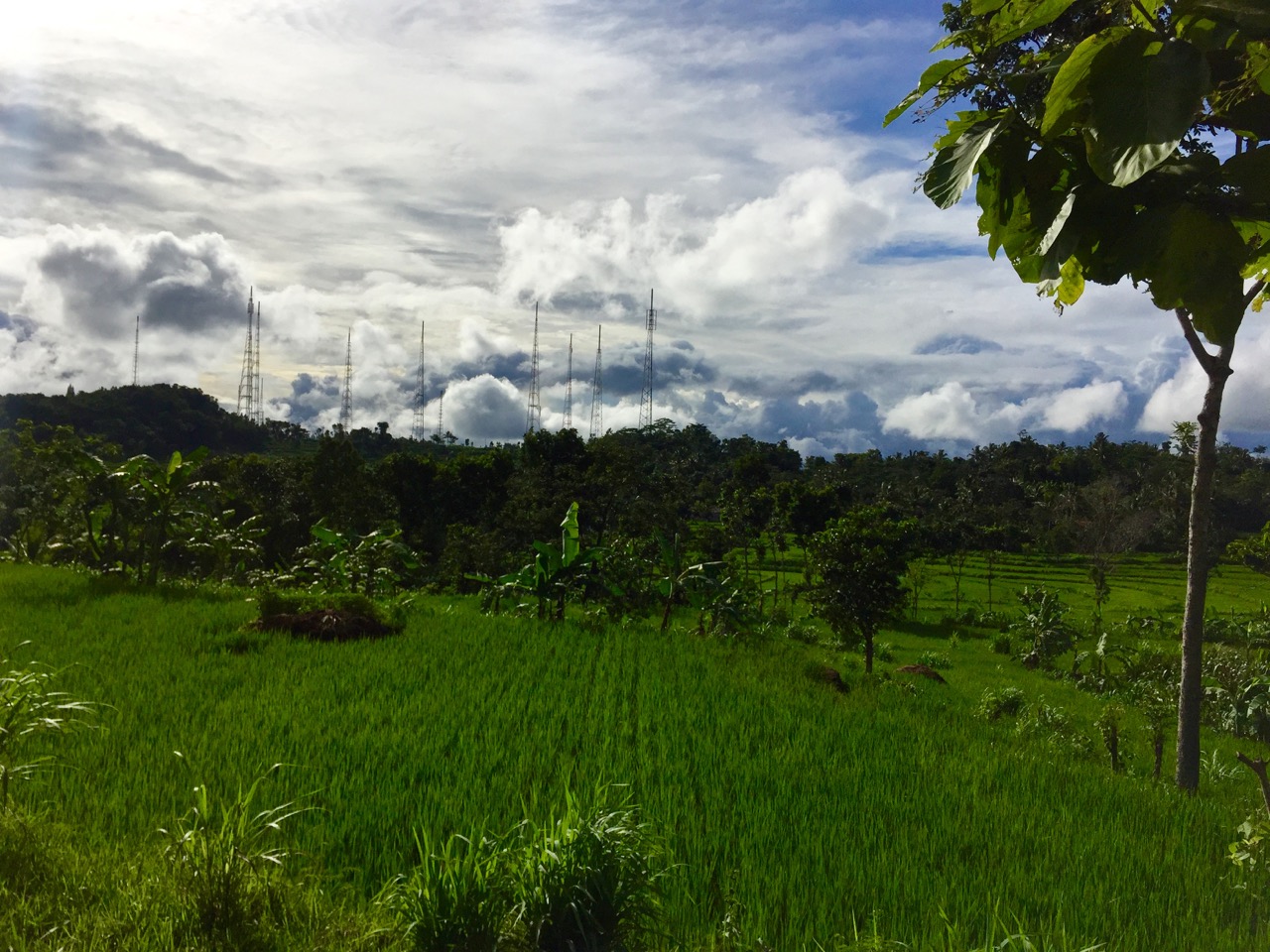 Luweng Sampang in Yogyakarta, Java 🌍 Chris Ruppel